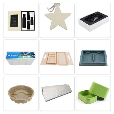 China Takeaway Paper Molded Pulp Packaging Tray Custom Biodegradable Food Grade zu verkaufen