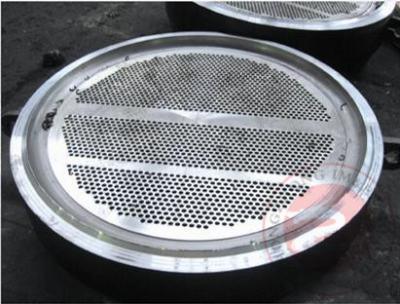 China 304L 310S 316L het Roestvrij staal gerolde smeedstuk van de ringsflens voor Zware Machines Te koop