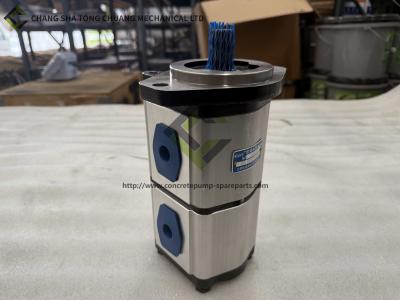 중국 Sany 중공업 콘크리트 펌프 부착물 듀얼 기어 펌프 B220301000413 판매용