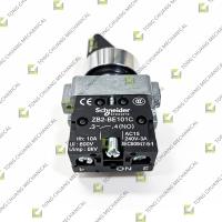 China 2‑Position Non-Reset Panel Select Switch, Standard Type，Panel Select Switch, 2‑Position Non‑Reset，Heavy Duty Panel Select Switch，Waterproof Panel Select Switch，Control Panel Select Switch for sale