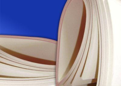 Cina L'ago senza fine del poliestere ha ritenuto il poliestere di 50% ed il Meta Aramid di 50% Nomex in vendita