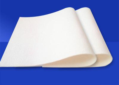Cina Temperatura elevata due strati del feltro perforato ago di Nomex in vendita