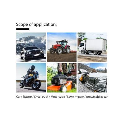 중국 자동차에 실용적인 로에스 3000F 16V 슈퍼 커패시터 모듈 판매용