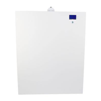 중국 Durable BMS Super Capacitor Battery , Household Solar Battery Wall 판매용