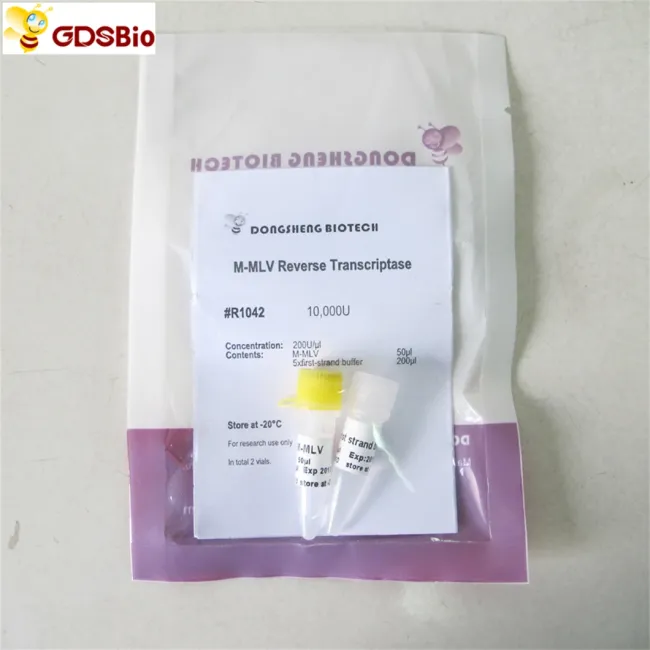 M-Mlv Reverse Transcriptase Rt-PCR