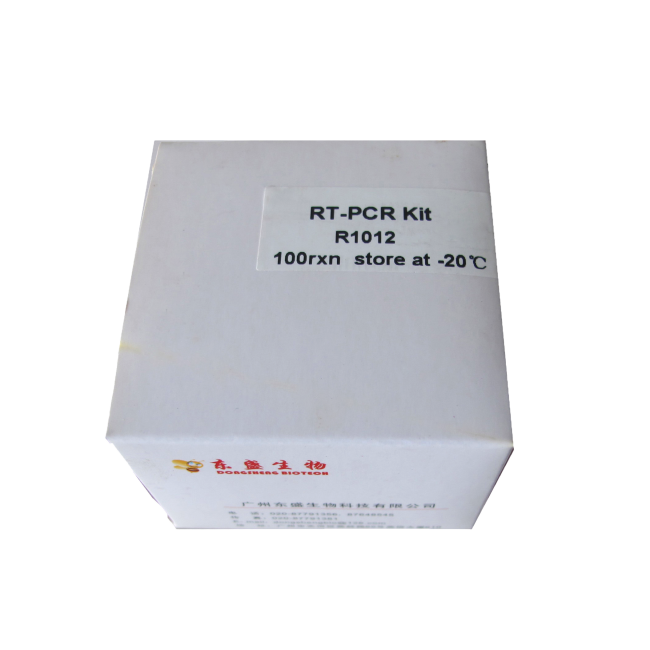 M-Mlvの逆のTranscriptase Rt PCR