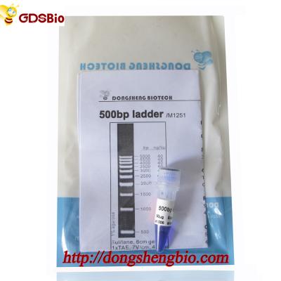 Cina Scala classica M1251/M1252 delle scale & degli indicatori 500bp del DNA in vendita