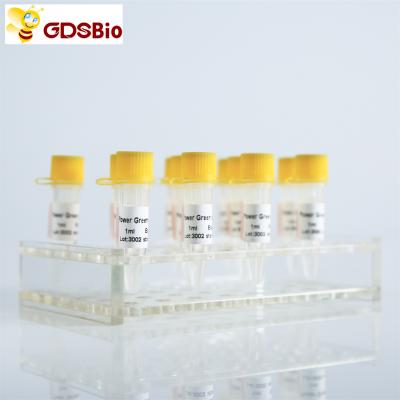 Cina Miscela in tempo reale P2201 P2202 di PCR della sonda QPCR di GDSBio HS in vendita