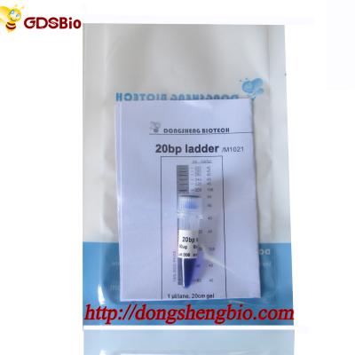 中国 高い純度の試薬20bp DNAのマーカーの梯子のゲルの電気泳動 販売のため