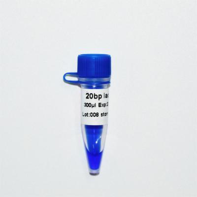 中国 高い純度の試薬20bp DNAのマーカーの梯子のゲルの電気泳動 販売のため
