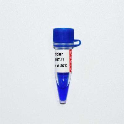 中国 高い純度の試薬20bp DNAのマーカーの梯子のゲルの電気泳動 販売のため