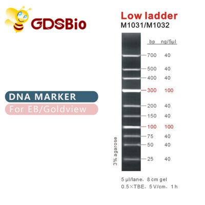 Cina Indicatore basso del DNA della scala M1031 (50μg) /M1032 (50μg×5) in vendita