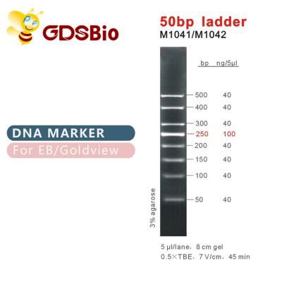 Cina indicatore del DNA della scala 50bp M1041 (50μg) /M1042 (50μg×5) in vendita