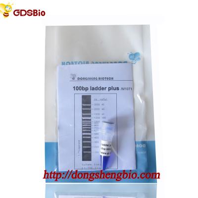 Cina scala 100bp più l'indicatore del DNA M1071 (50μg) /M1072 (50μg×5) in vendita