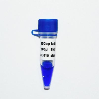 Cina scala 100bp più l'indicatore del DNA M1071 (50μg) /M1072 (50μg×5) in vendita