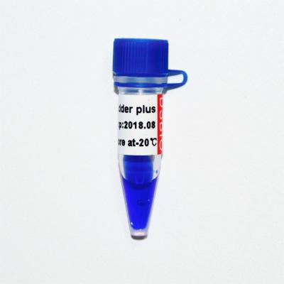 Cina scala 100bp più l'indicatore del DNA M1071 (50μg) /M1072 (50μg×5) in vendita