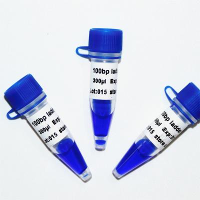 Cina scala 100bp più l'indicatore del DNA M1071 (50μg) /M1072 (50μg×5) in vendita