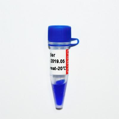 Cina 1kb elettroforesi del gel della scala dell'indicatore del DNA della scala 1000bp in vendita