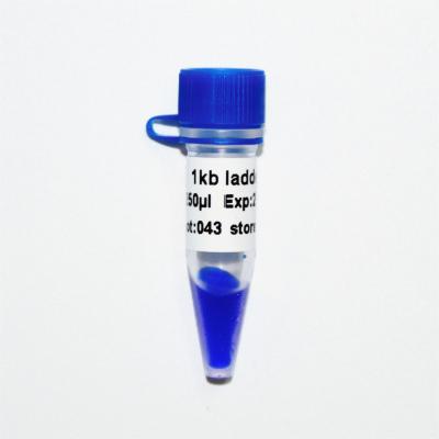 Cina 1kb elettroforesi del gel della scala dell'indicatore del DNA della scala 1000bp in vendita