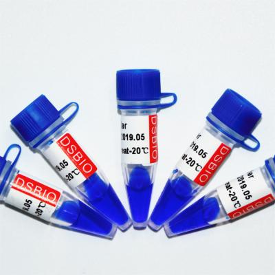 Cina 1kb elettroforesi del gel della scala dell'indicatore del DNA della scala 1000bp in vendita
