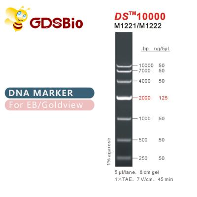 Cina DS10000 scala M1221 (50μg) /M1222 (5×50μg) dell'indicatore del DNA in vendita