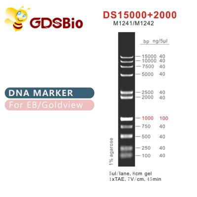 Cina Scala M1241 (50μg) /M1242 (5×50μg) dell'indicatore del DNA di DS 15000+2000 in vendita