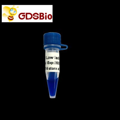 Cina Indicatore basso del DNA della scala di LD LM1031 (60 preparazioni) /LM1032 (60 preps×3) in vendita