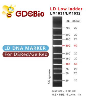Cina Indicatore basso del DNA della scala di LD LM1031 (60 preparazioni) /LM1032 (60 preps×3) in vendita