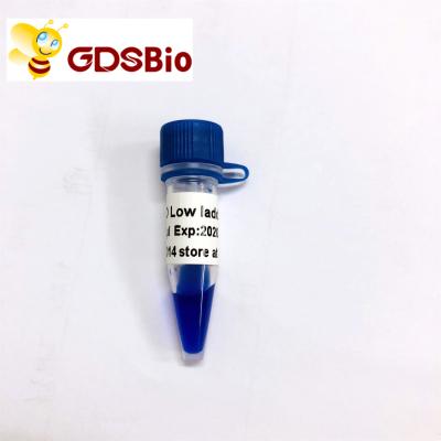 Cina Indicatore basso del DNA della scala di LD LM1031 (60 preparazioni) /LM1032 (60 preps×3) in vendita