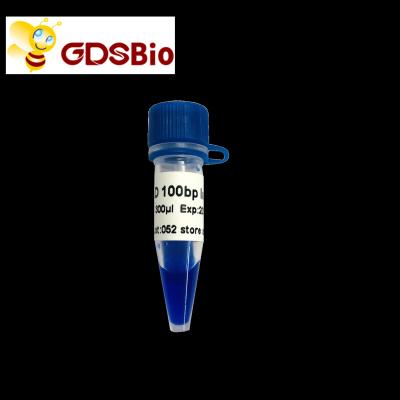 China preparações do marcador 60 do ADN da eletroforese do gel da escada 100bp à venda