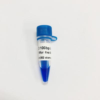 China preparações do marcador 60 do ADN da eletroforese do gel da escada 100bp à venda