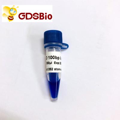 China preparações do marcador 60 do ADN da eletroforese do gel da escada 100bp à venda
