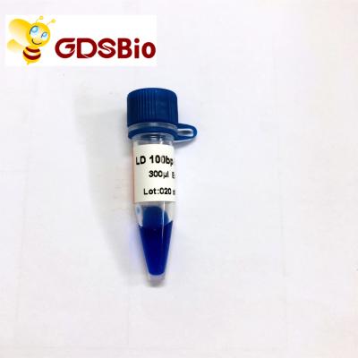 China 60 escada do LD 100bp das preparações mais a eletroforese do marcador do ADN à venda