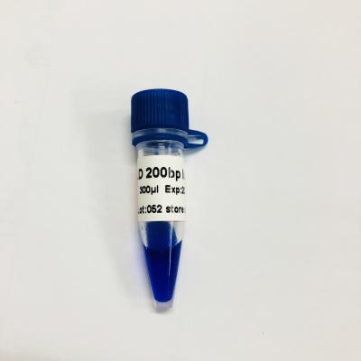 中国 200bpゲルの電気泳動のマーカーの梯子のGDSBioの青い出現 販売のため