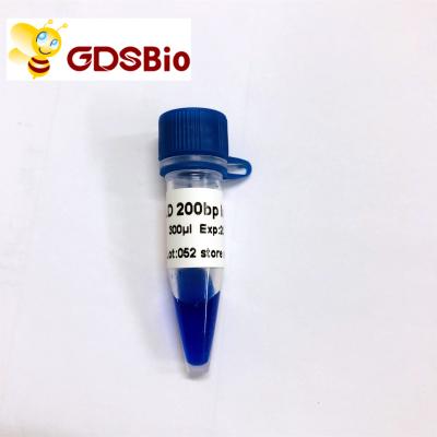 中国 200bpゲルの電気泳動のマーカーの梯子のGDSBioの青い出現 販売のため