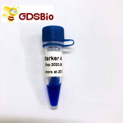 Cina Scala del DNA dell'indicatore 4 di LD LM1231 (50 preparazioni) /LM1232 (50 preps×5) in vendita