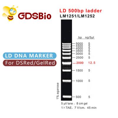 Cina Scala di LD 500bp LM1251 (60 preparazioni) /LM1252 (60 preps×3) in vendita