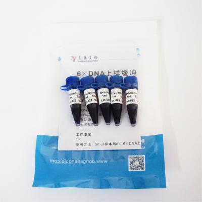 中国 2色DNAの電気泳動の緩衝GDSBioのゲルの電気泳動の緩衝 販売のため