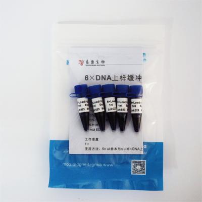 中国 2色DNAの電気泳動の緩衝GDSBioのゲルの電気泳動の緩衝 販売のため