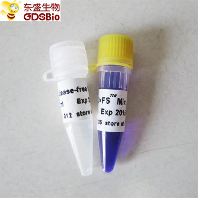 Cina Miscela di PCR del FS per rilevazione acida nucleica P2071 P2072 del RNA del DNA in vendita