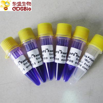 Cina Rilevazione acida nucleica P3072 1ml×5 della miscela di PCR del FS di PCR matrice Kit For del RNA del DNA in vendita