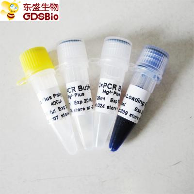 中国 PCR P1031 P1032 P1033 P1034のためのDNAポリメラーゼと青い緩衝Taq 販売のため