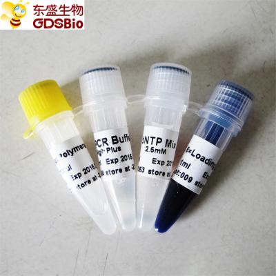 中国 PCR P1031 P1032 P1033 P1034のためのDNAポリメラーゼと青い緩衝Taq 販売のため