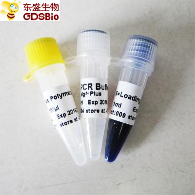 中国 PCR P1031 P1032 P1033 P1034のためのDNAポリメラーゼと青い緩衝Taq 販売のため
