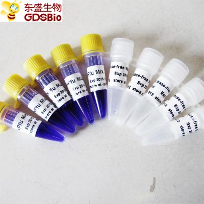 Cina Miscela 1ml×5 del reagente di PCR di Pfu per rilevazione acida nucleica P2022 di PCR del RNA del DNA in vendita