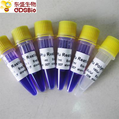 Cina Miscela matrice acida nucleica P3022 1ml×5 di Pfu di rilevazione di PCR in vendita