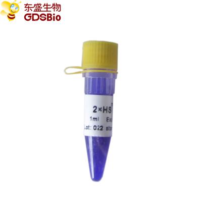 Cina Alta riproducibilità di HS QPCR Mastermix P2081 1ml in vendita