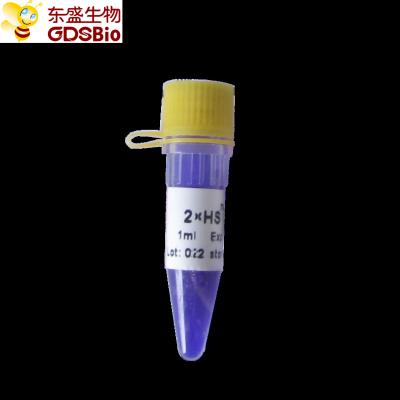 Cina Alta riproducibilità di HS QPCR Mastermix P2081 1ml in vendita