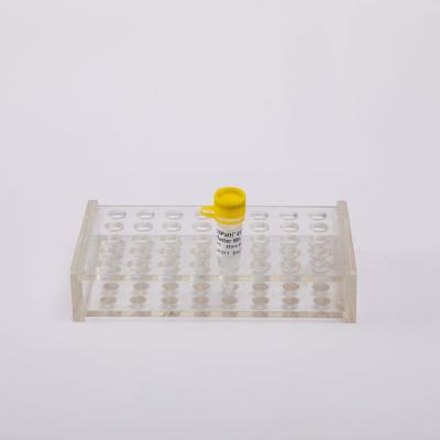 Cina Miscela matrice 200 Rxn 20uL/Rxn V5005 di RT QPCR di punto di DSPath 4X uno in vendita