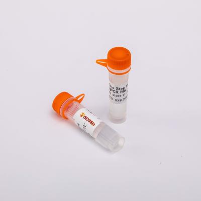 Cina una miscela matrice principale V5007 25uL/Rxn di RT QPCR di punto 2X in vendita